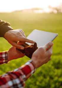 Over ons – Vlamings